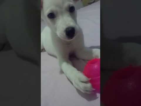 Natasha e bigo 12