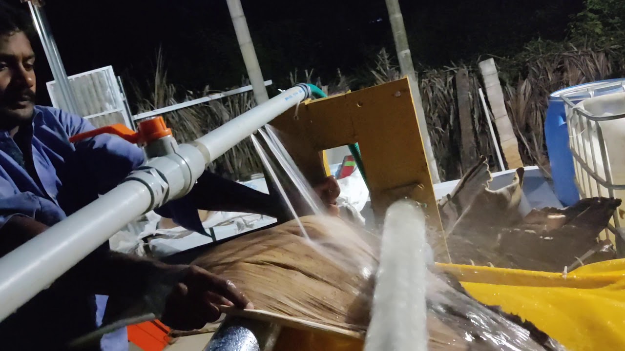 Areca leaf cleaning machine - YouTube