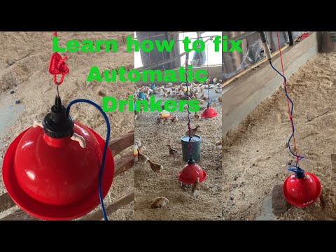 HOW TO INSTALL AUTOMATIC DRINKERS FOR POULTRY, LAYERS AND BROILERS ...