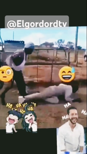 Los Compadres #funny #humor #comedy #memes #music - YouTube