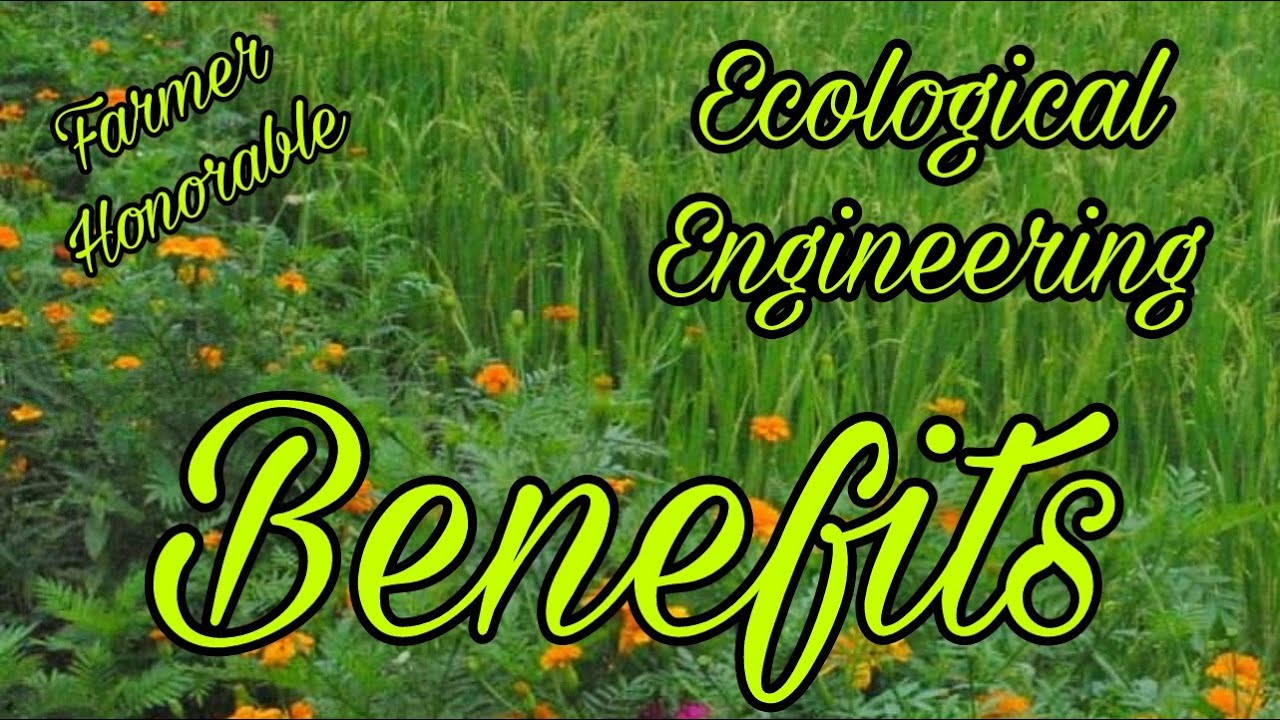 Ecological Engineering for insect pest / Benefits - YouTube