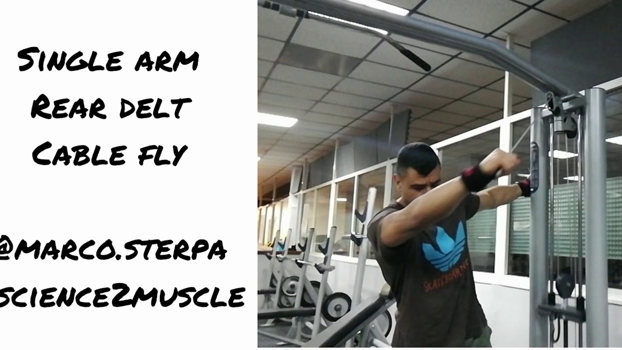 Single Arm Rear Delt Cable Fly - YouTube