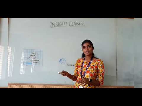 Insight Learning - YouTube