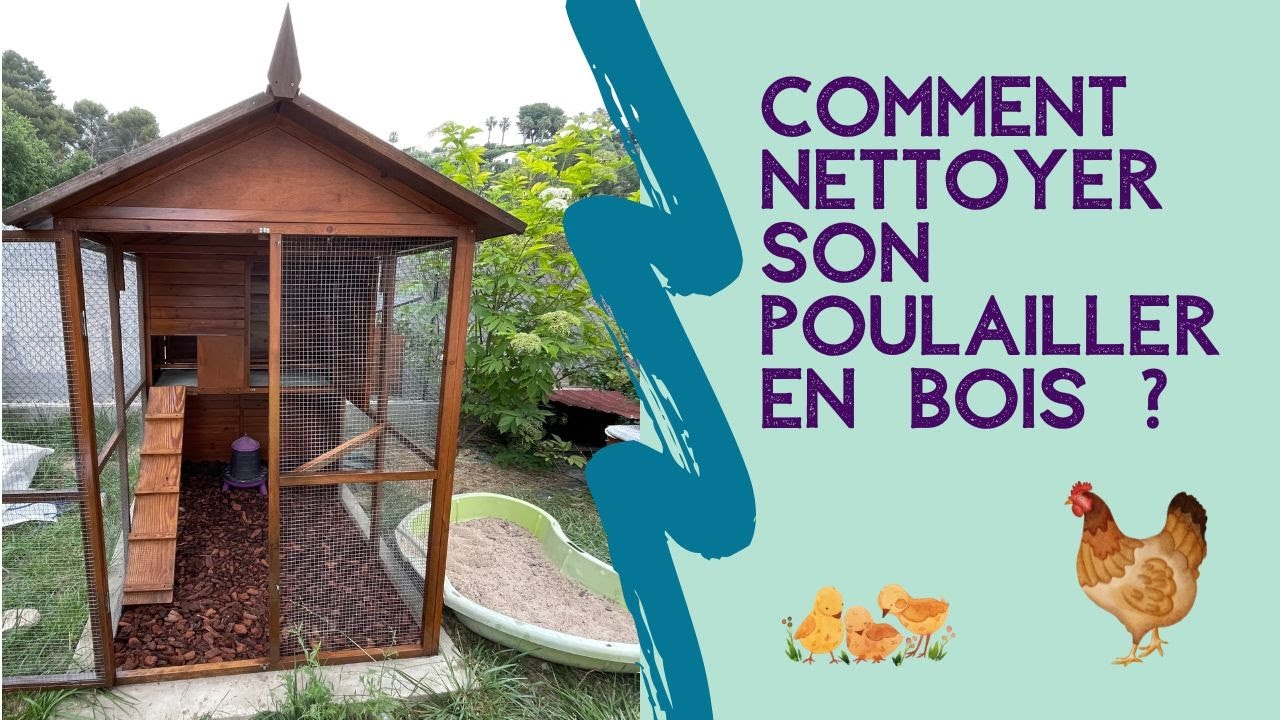 Nettoyage Poulailler des poules - Comment nettoyer son poulailler en ...