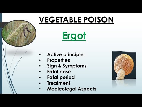 Ergot Poisoning || Vegetable Poison Forensic Toxicology - YouTube