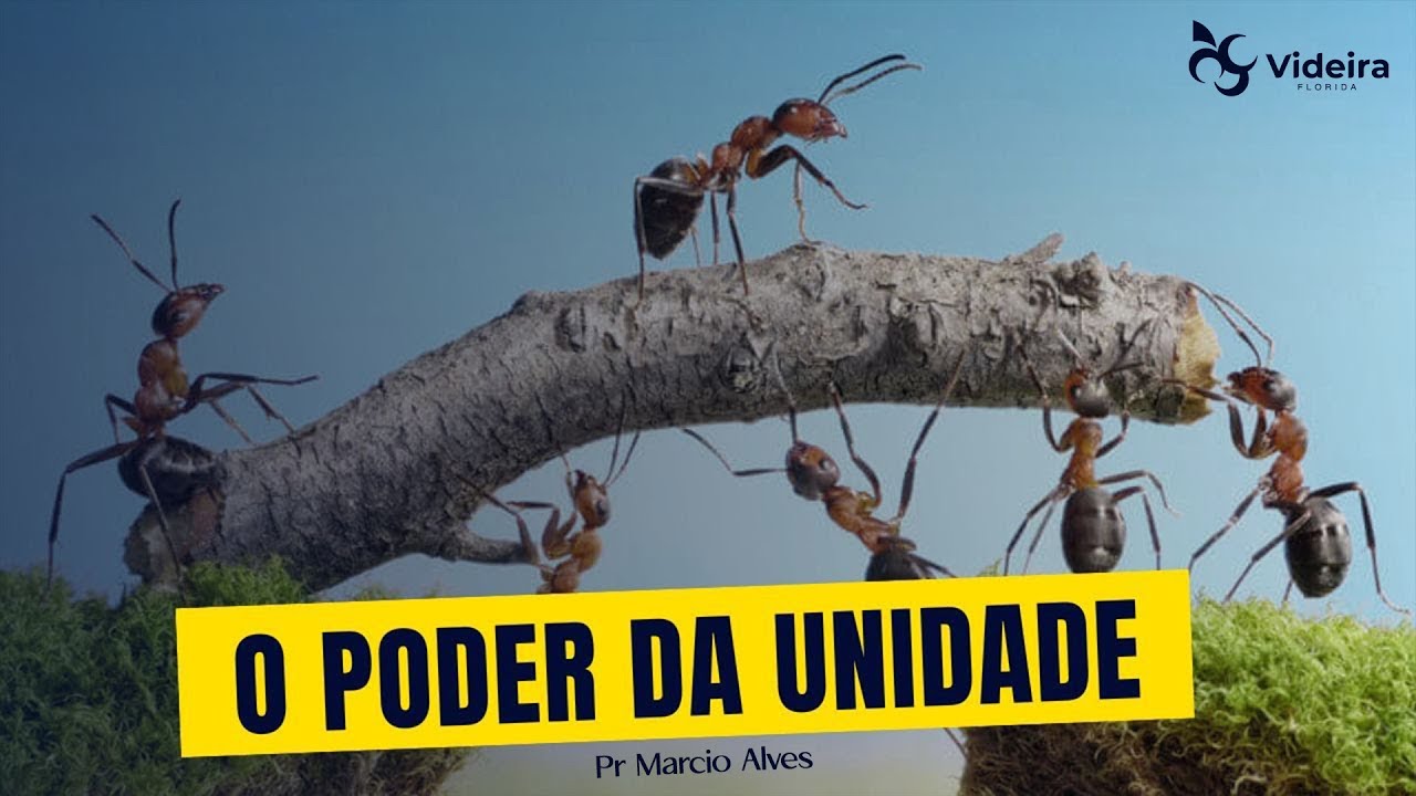 O Poder da Unidade / Pr Marcio Alves / Videira Flórida - YouTube