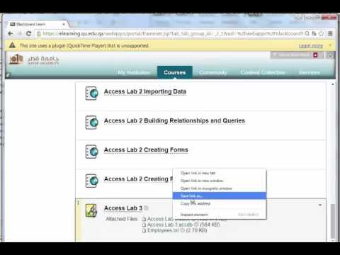 Access Lab 3 downloading and Saving files - YouTube