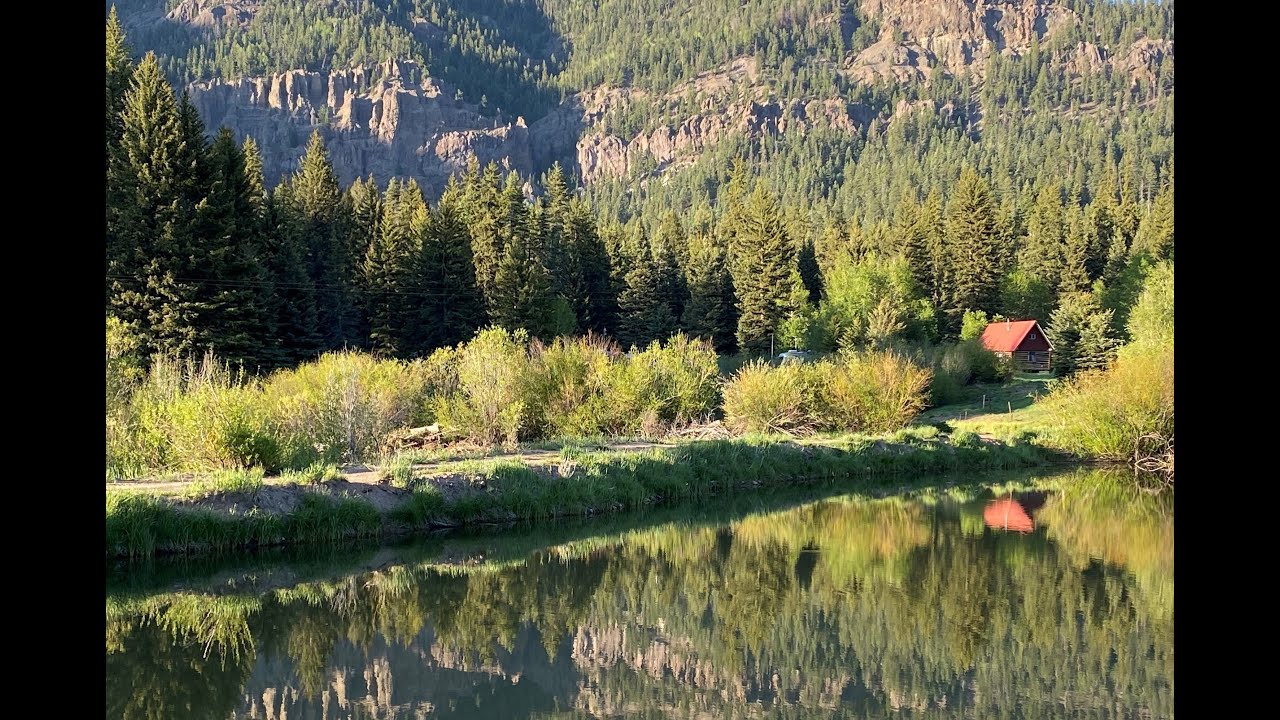 Bruce Spruce Ranch June 2021 - YouTube