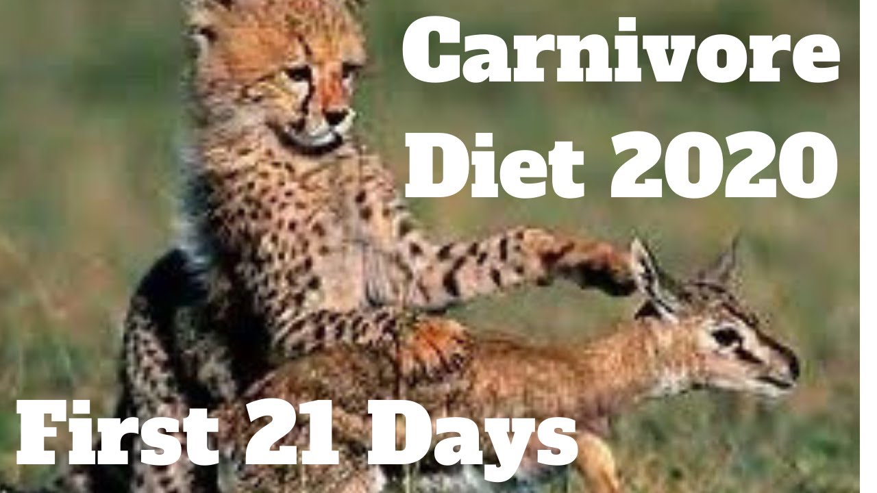 World Carnivore Month 2020 - 21 day Update - YouTube