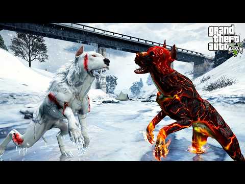 PİTBULL TERMİNATÖR ÇILDIRDI! BUZ KRALI CİNNET'LE DÖVÜŞ! - GTA 5