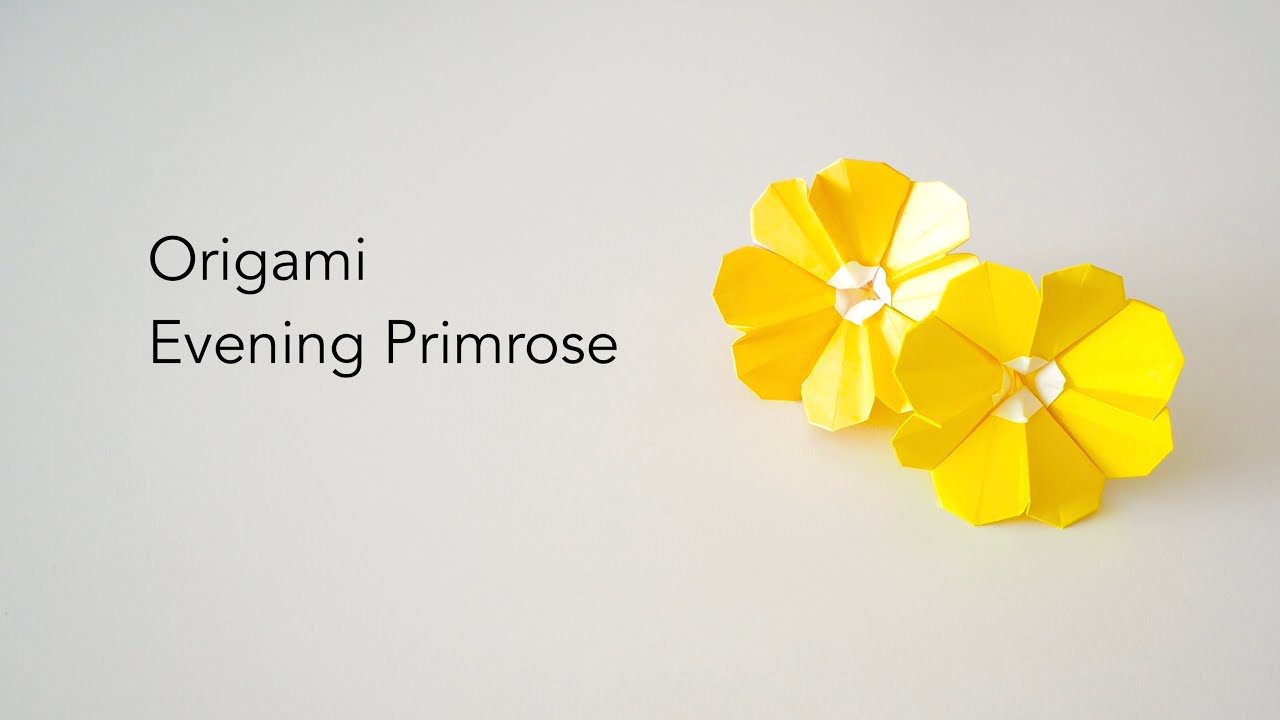 Origami Evening primrose - YouTube