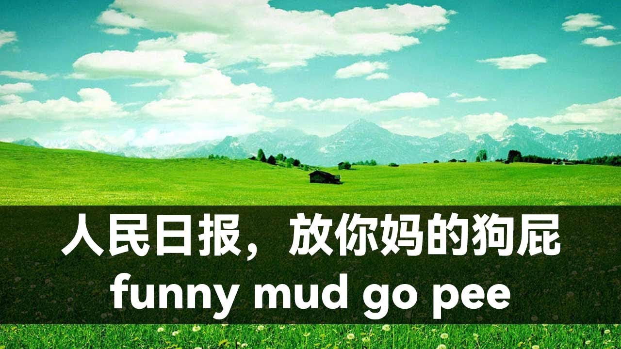 人民日报，放你妈的狗屁，funny mud go pee - YouTube