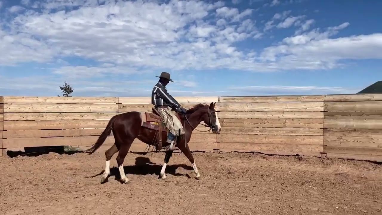 First Ride on Foxy Rascal, a Horse at Rising K Ranch - YouTube