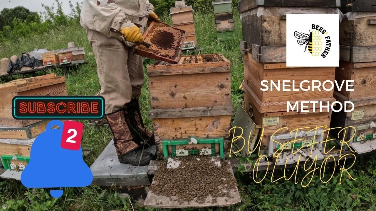 snelgrove method 03 haziran 2023 - YouTube