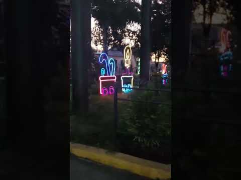 otra belleza que encontré en mi recorrido por el salvador