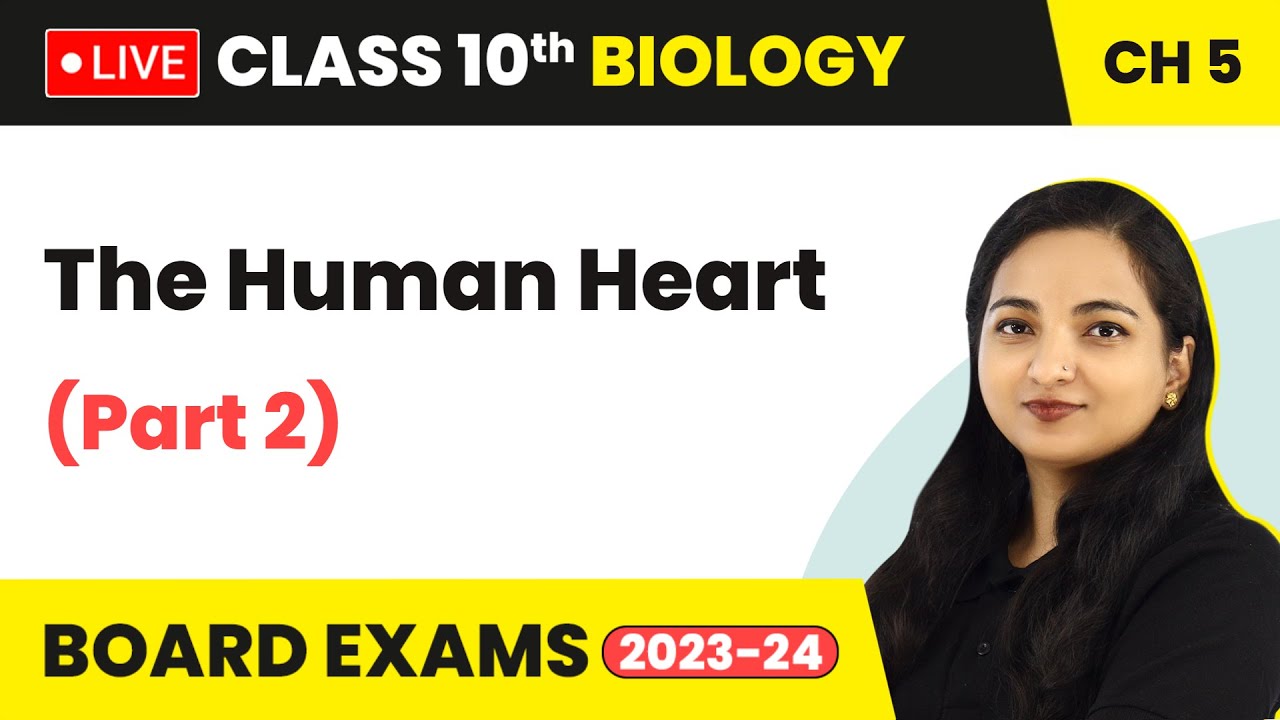 The Human Heart (Part 2) - Life Processes | Class 10 Biology Chapter 5 ...