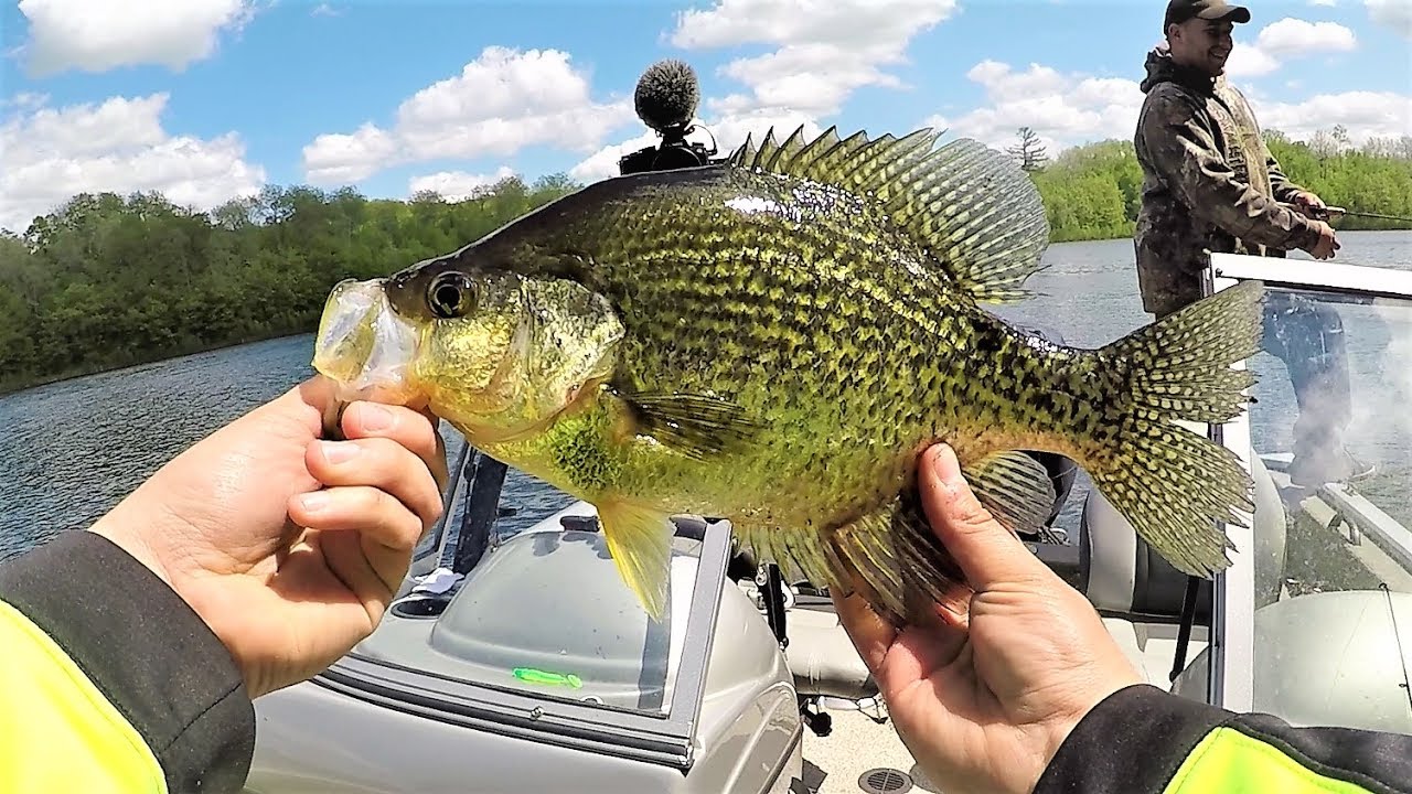 Wisconsin Summer Fishing! - YouTube