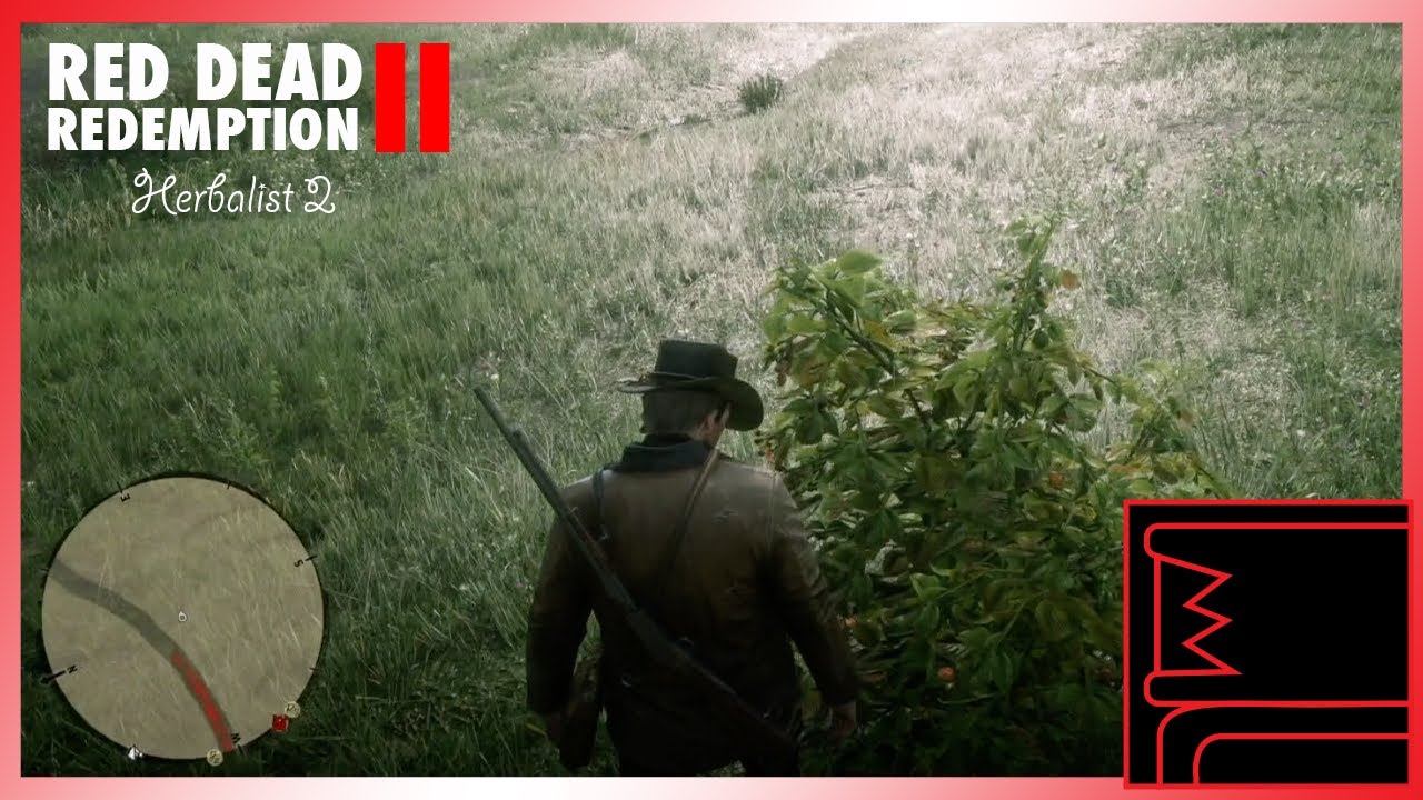 Red Dead Redemption 2: Herbalist 2 - YouTube