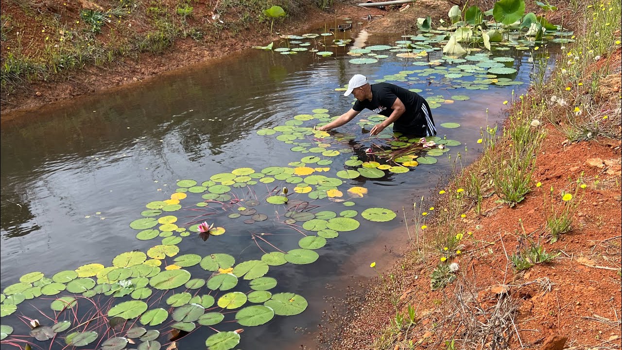KHMER USA | VISITING INMAN, SC KHMER FARM - YouTube