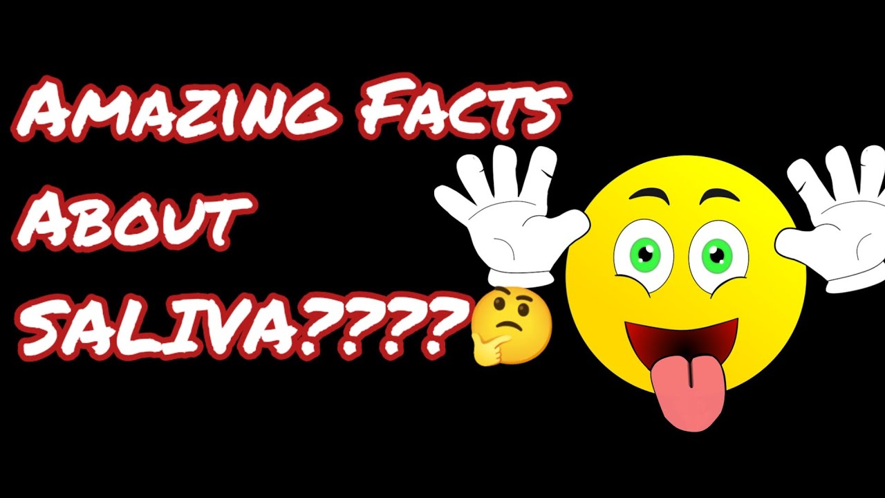 Amazing Facts About SALIVA?????🤔🤔|Banupriya Nagaraj🤗 - YouTube