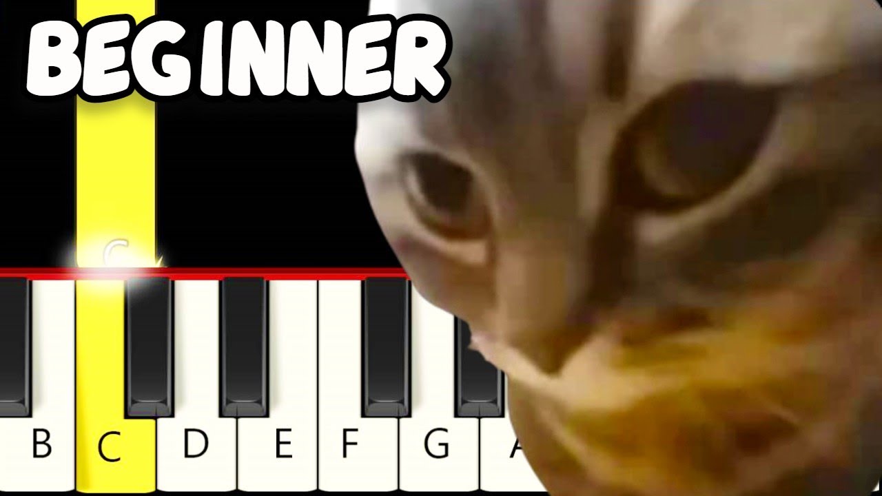 a REAL CAT sings Chipi Chipi Chapa Chapa - Fast and Slow (Easy) Piano ...