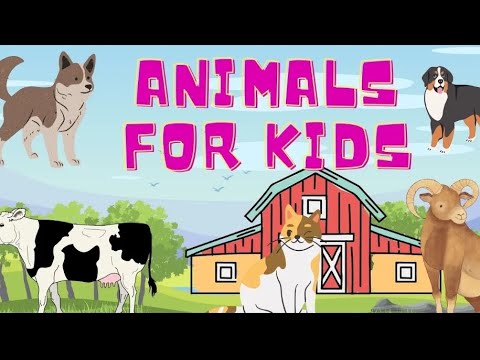 Animals for kids pets.Farm animals sound Pets - YouTube