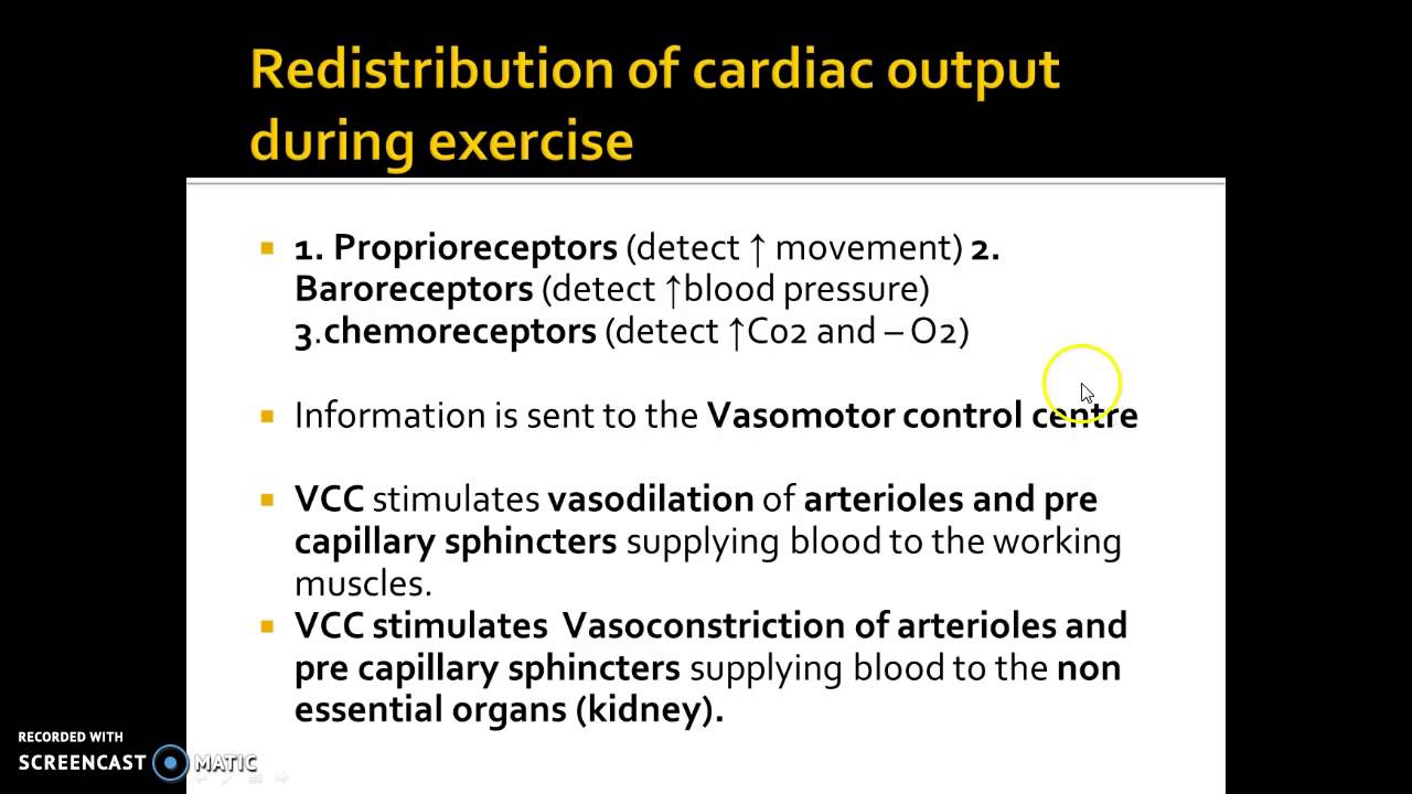 Redistribution of cardiac output - vascular shunt process - YouTube
