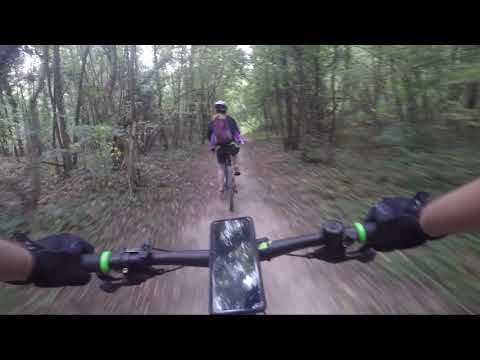 Timisoara - Bazos (Parcul Dendrologic) - YouTube