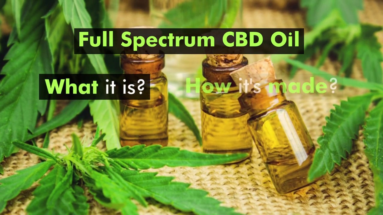 What is the full spectrum CBD Oil? - YouTube