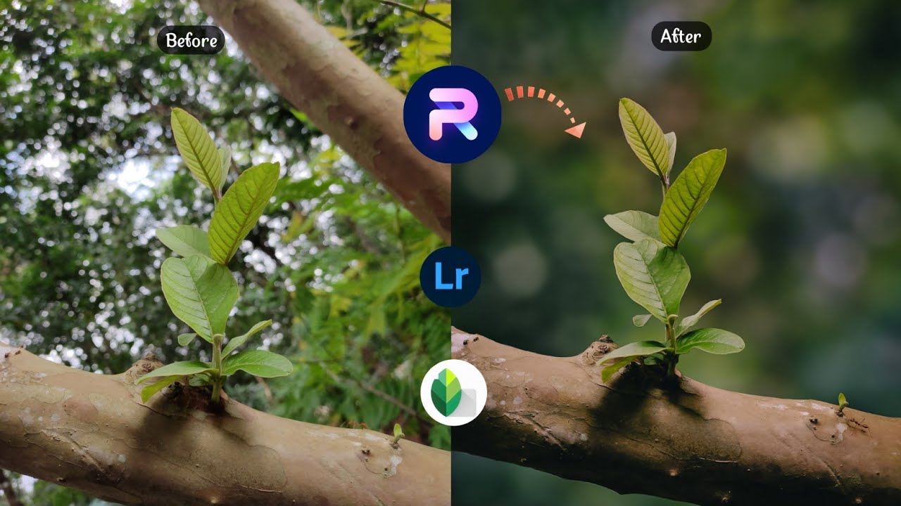 Blur Image Background | Mobile Photo Editing Tutorial | Lightroom Color ...