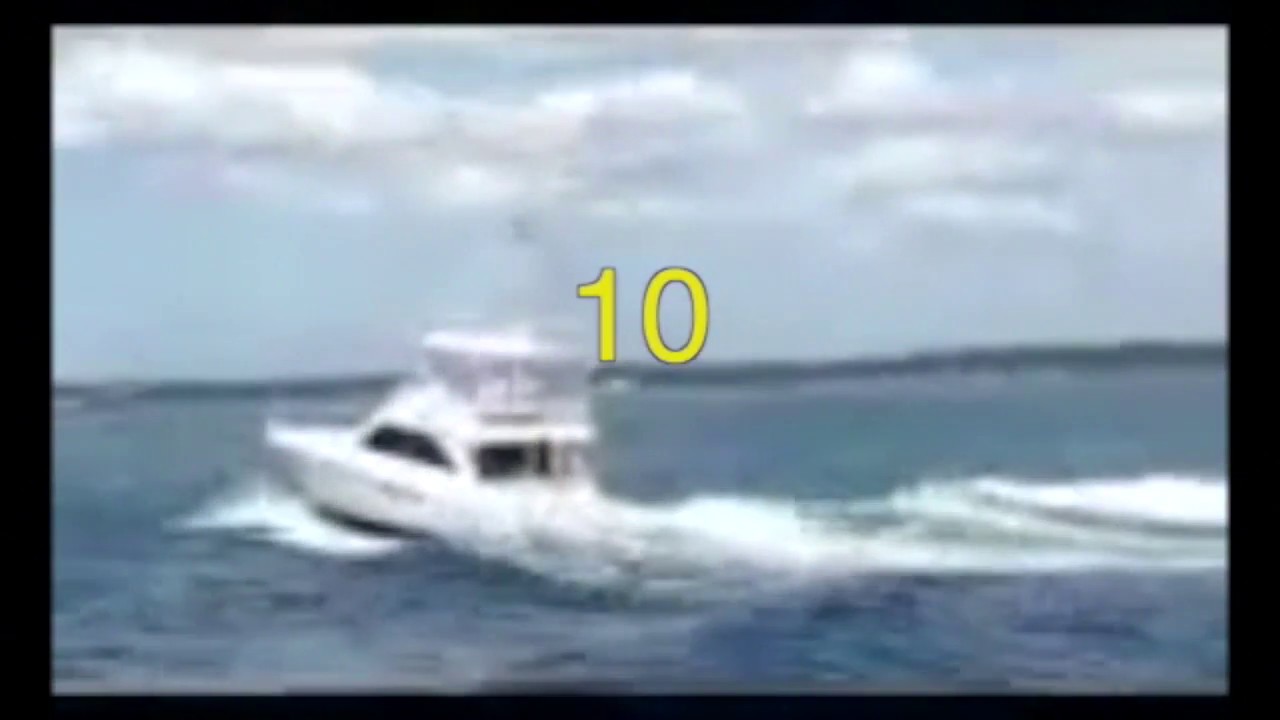 Counting Dolphin Leaps (with verbal cues) - Count to Ten - Practice ...