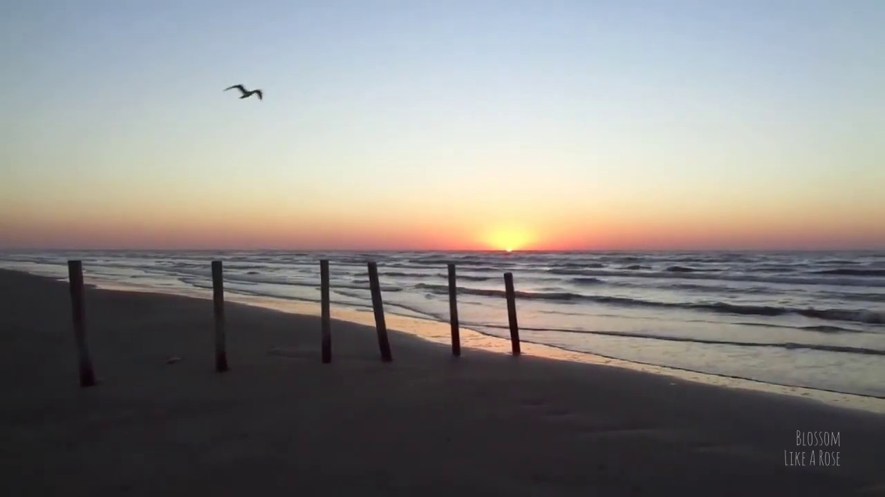 AN AMAZING SUNRISE AT THE BEACH Relaxing Nature Sounds - YouTube