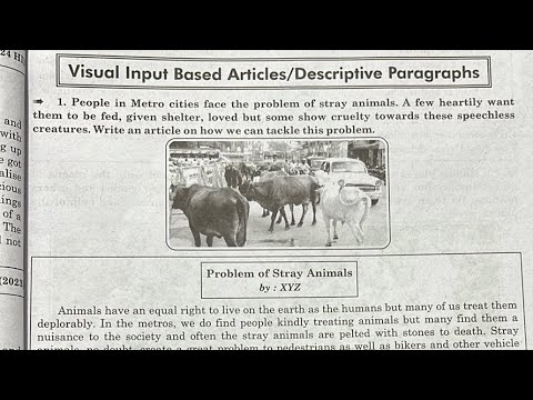 Most Important essays for up board class 10 English for 2024 25 - YouTube
