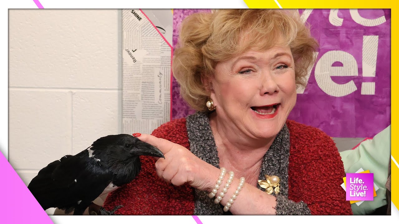 Patty Spitler sits down with Silly Safaris to learn all about African ...