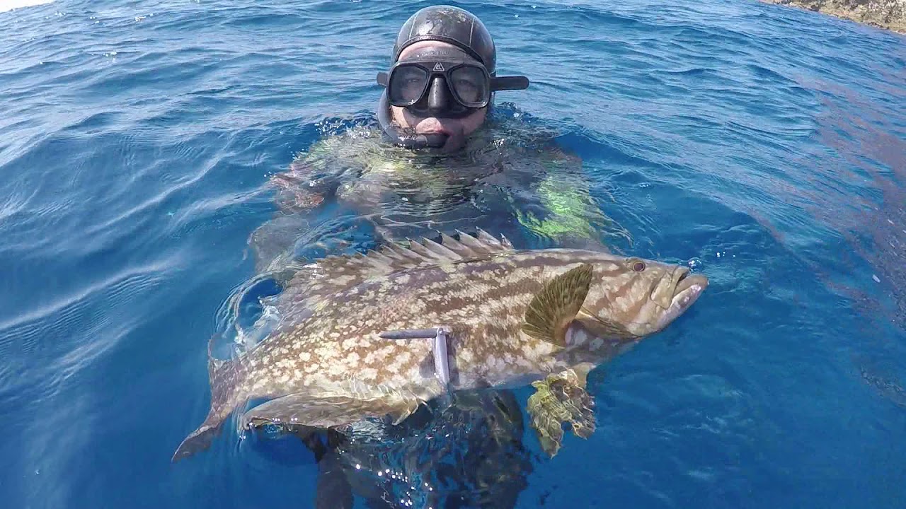 Spearfishing (golden grouper-mottled grouper-white seabream) - YouTube
