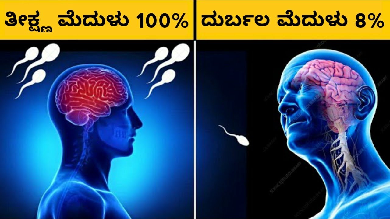 ಮೆದುಳು ದುರ್ಬಲವಾಗಿದ್ದರೆ ಇದನ್ನು ನೋಡಿ | NoFap Increases Brain Power ...