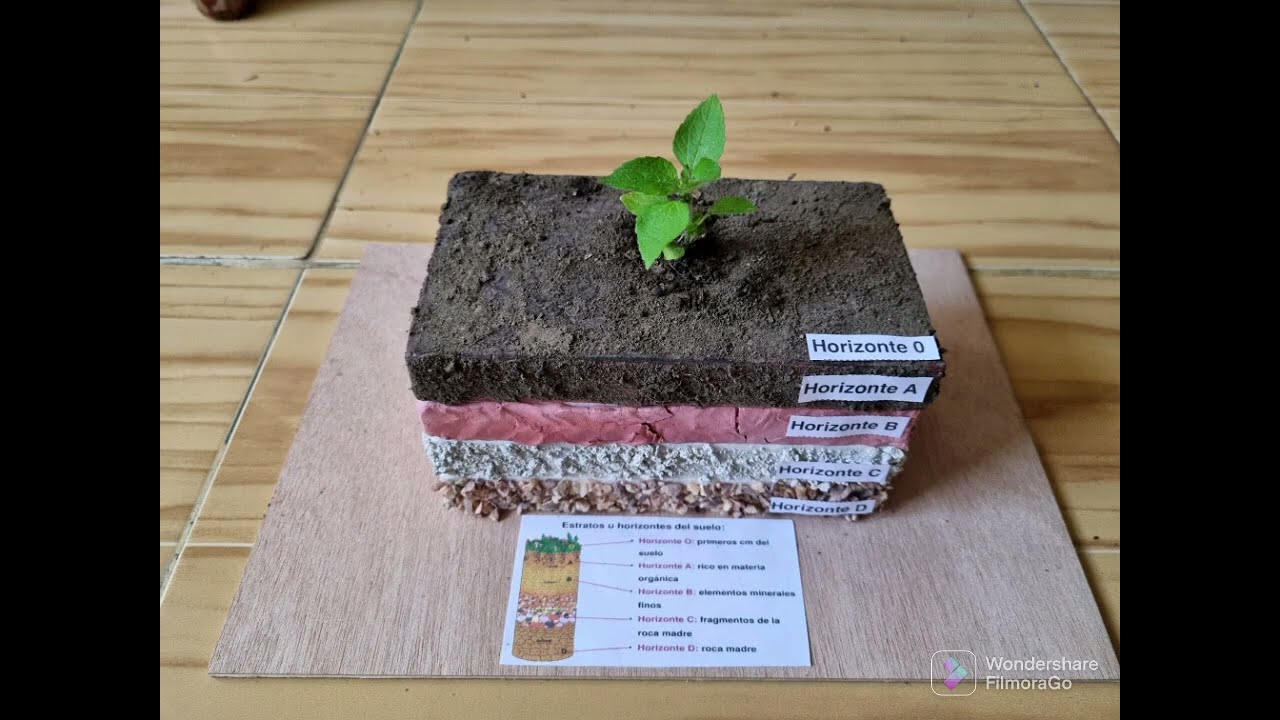 Hoja De Trabajo Sobre El Horizonte Del Suelo