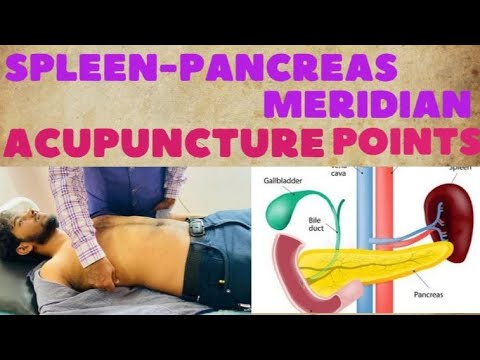 SPLEEN -PANCREAS MERIDIAN ACUPUNCTURE POINT'S - YouTube
