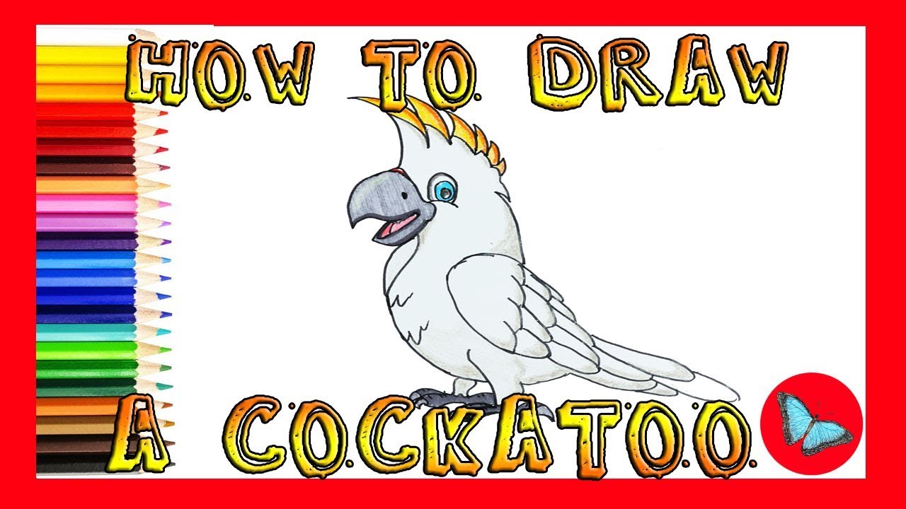 How To Draw A Cockatoo Bird |Coloring and Drawing for Kids - YouTube
