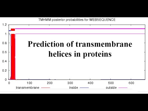 Transmembrane protein | Transmembrane region in Protein sequence ...