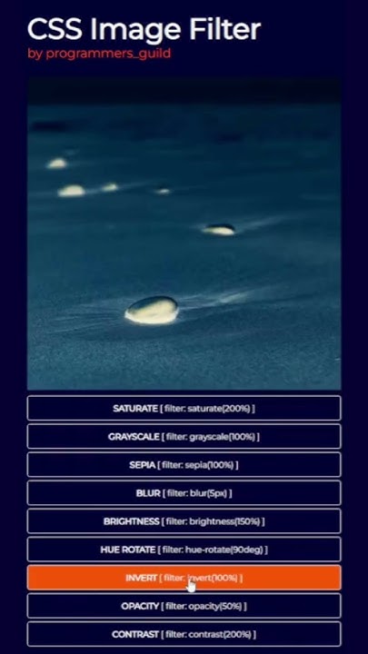 Css Image Filter Programming Programmerslife Html Coder Basic Fyp Foryou