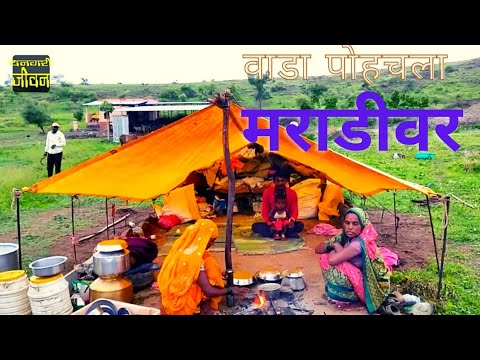 वाडा पोहचला मराडीवर | थाटलं बिऱ्हाड! || dhangari jivan - YouTube