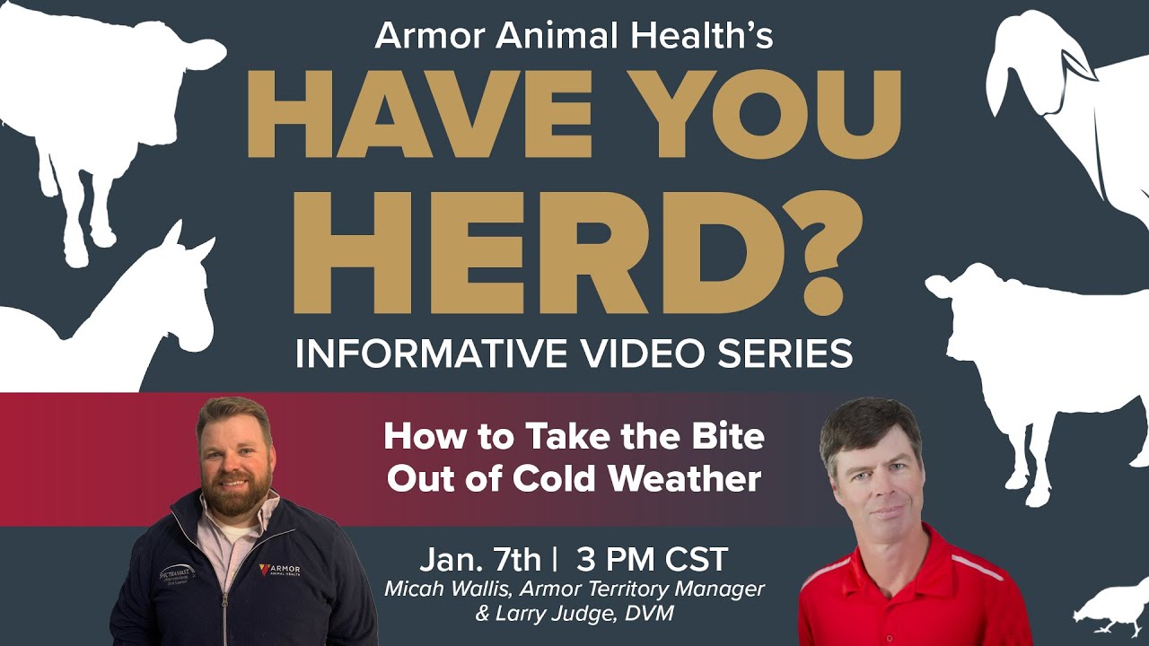 Have You Herd - Season 2 Episode 1- How to Take the Bite Out of Cold ...