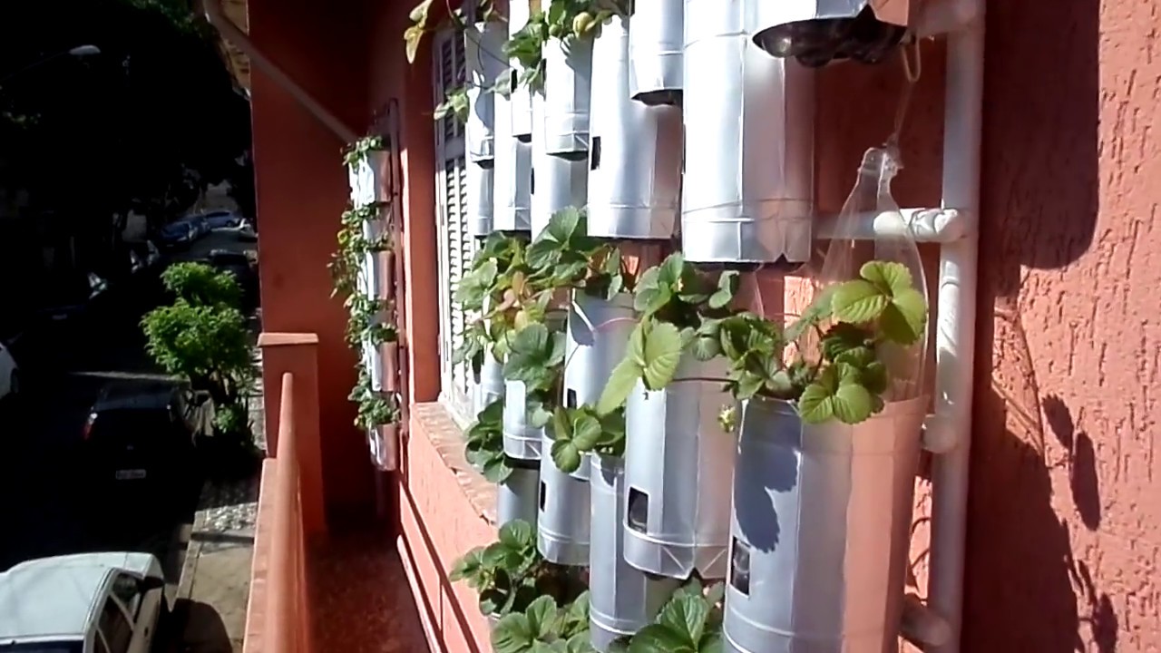 horta vertical de morango em vasos freaticos - YouTube