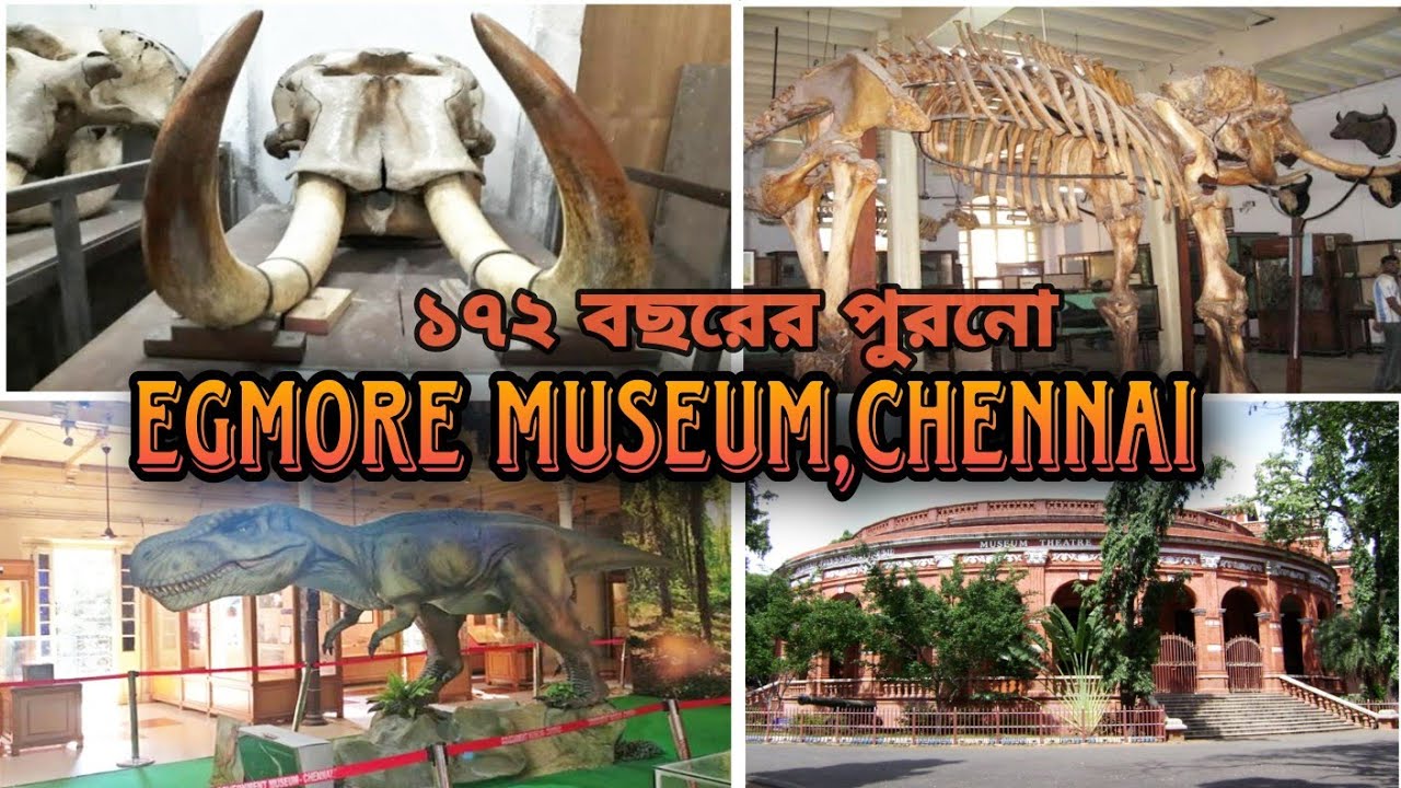 ১৭২ বছরের পুরনো জাদুঘরে কি কি আছে ? || EGMORE MUSEUM CHENNAI ...