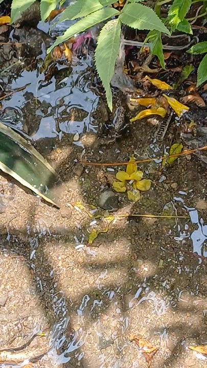 El agua es vida ¡cuídala ¡ - YouTube