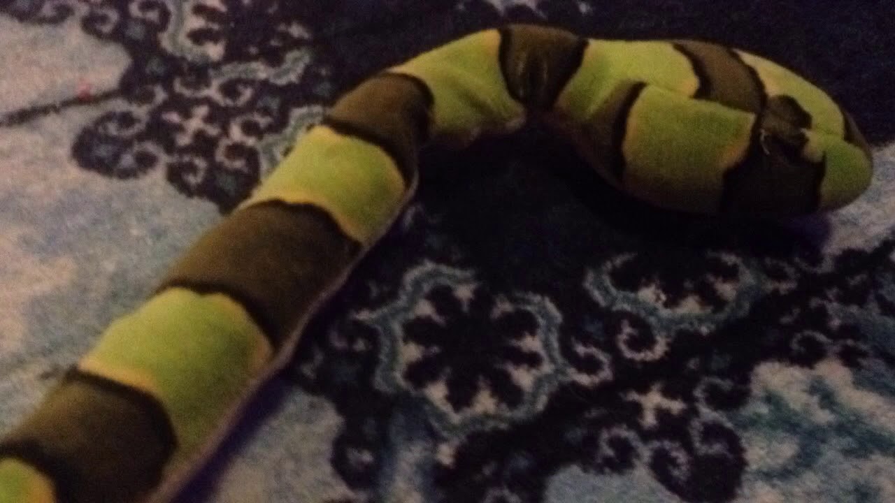 SNAKE SnAKe sNaKE snAKe (stop motion video - YouTube
