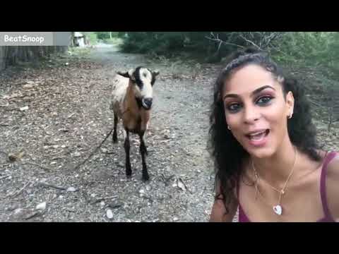 Wait for 1000 Meme Subscribers