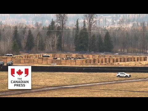 CFIA herds ostriches into enclosure ahead of cull