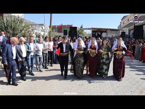 Silopi Düğünleri Agit Tanrıverdi Düğünü  Part 1 Tanrıverdi Ailesinin Mutlu Günü Grup Nihat Silopi